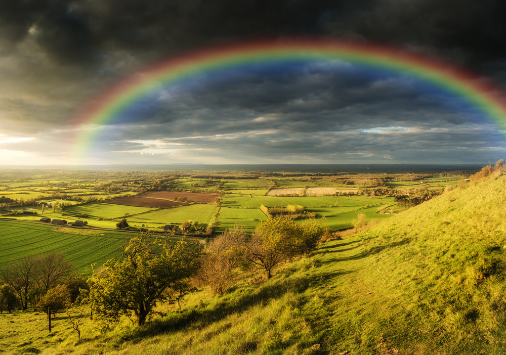 shutterstock_377184169 - Sally Parkes Award Winning Yoga