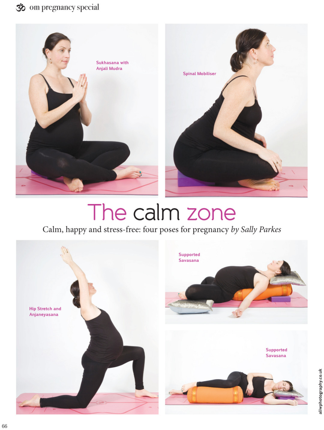 The Calm Zone - Sally Parkes Award Winning Yoga